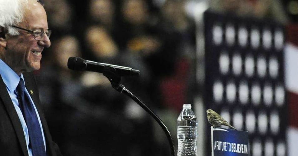 Fire Bern With Me: David Lynch Endorses Bernie Sanders